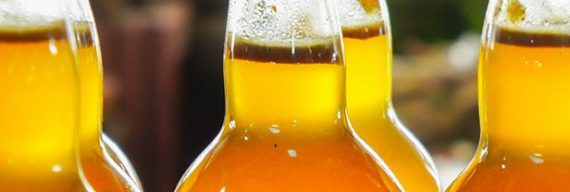 La Hidromiel | Artesana 100% natural